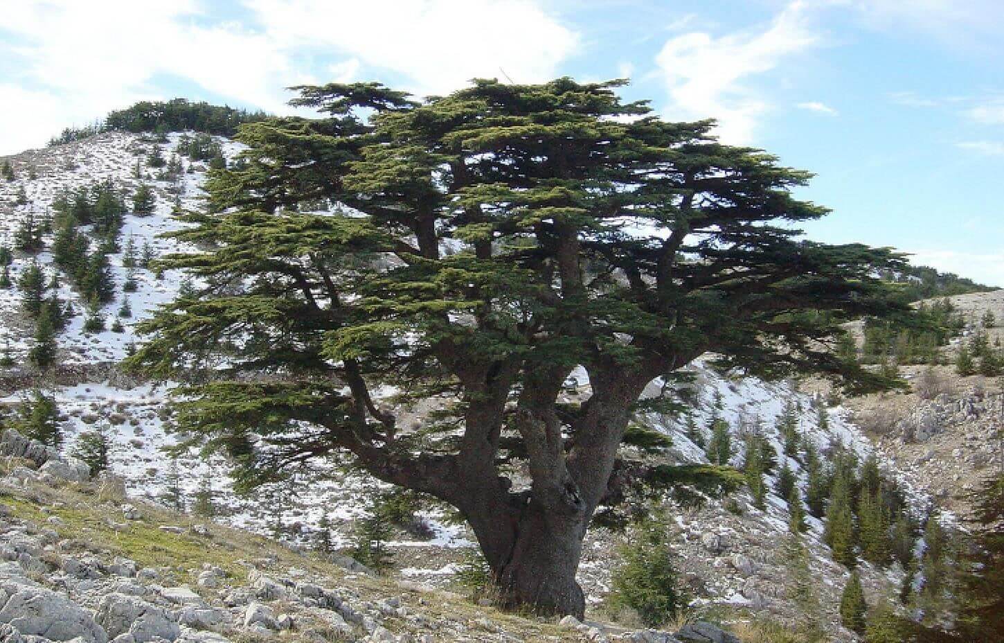 Top 10 Natural Touristic Places To Visit In Lebanon - vibelb